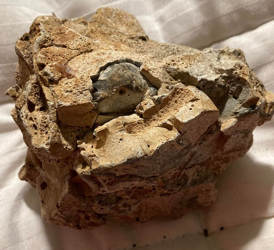 2H: Cinders | mysite