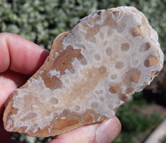 5P: Round Impactite Spheroid | mysite