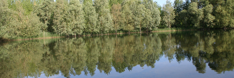 Carp Fishing | Cretelakes | France