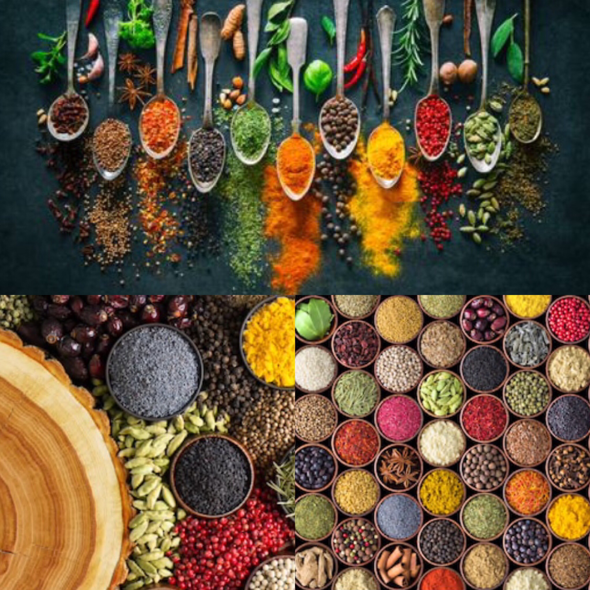 L'UNIVERS DES FAMILLES OLFACTIVES