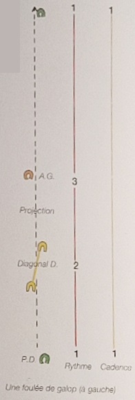 Présentation du Galop 6