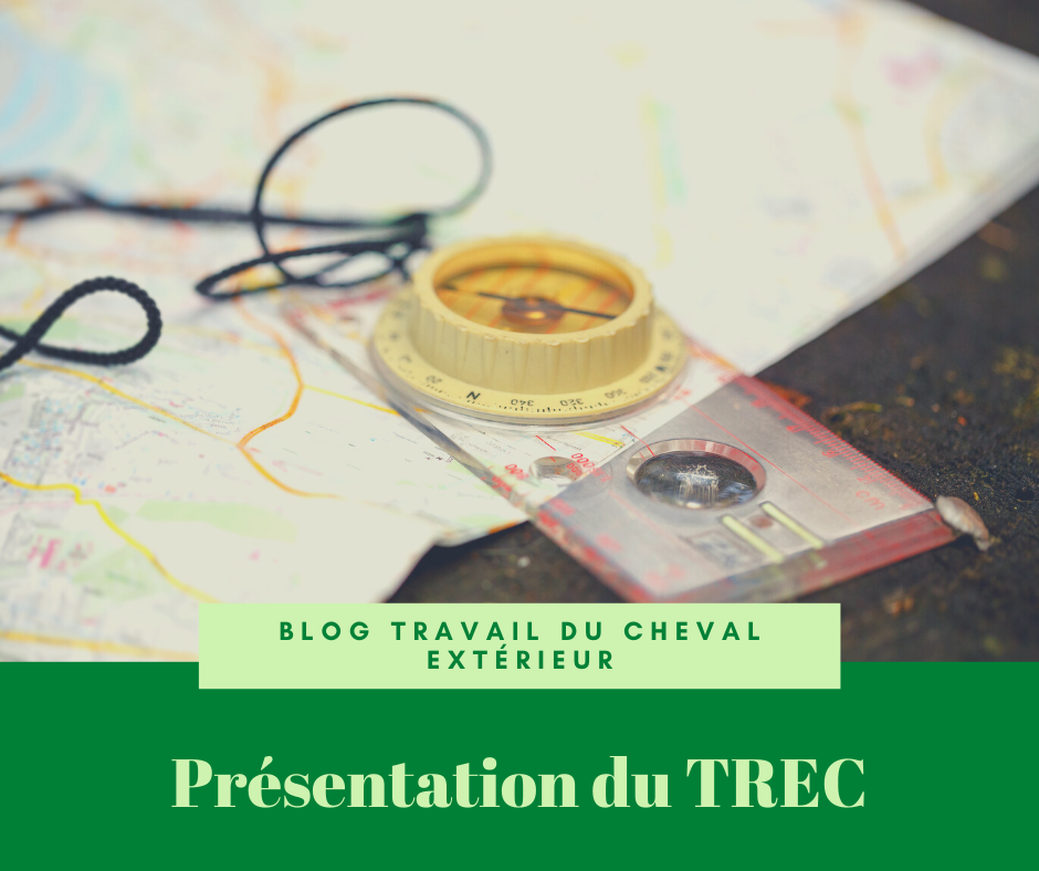 Le TREC : discipline majeure en extérieure