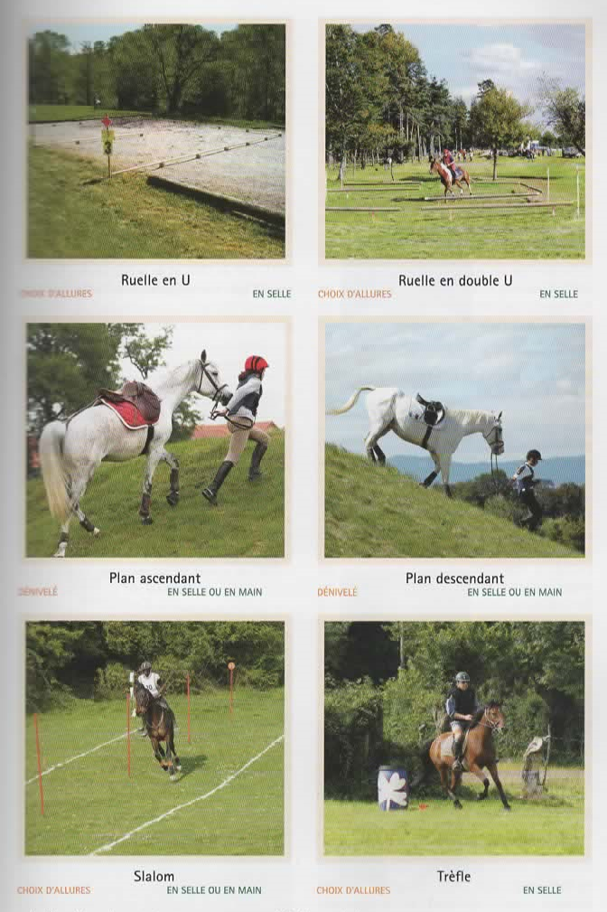 Le TREC : discipline majeure en extérieure