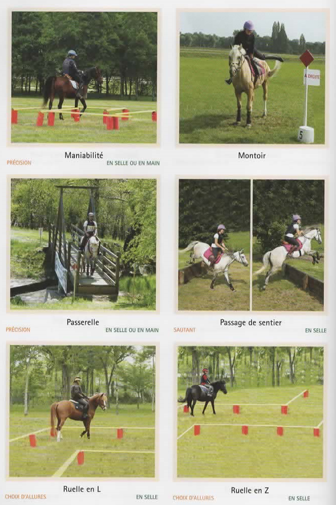 Le TREC : discipline majeure en extérieure