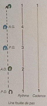 Présentation du Galop 6