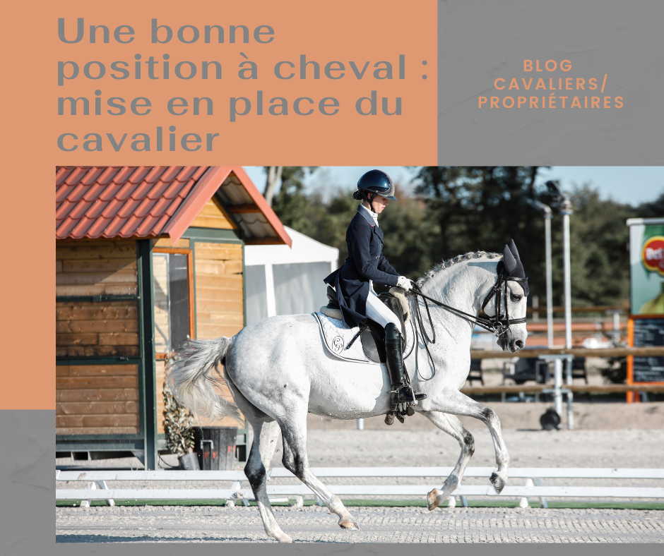 Une bonne position à cheval : mise en place du cavalier