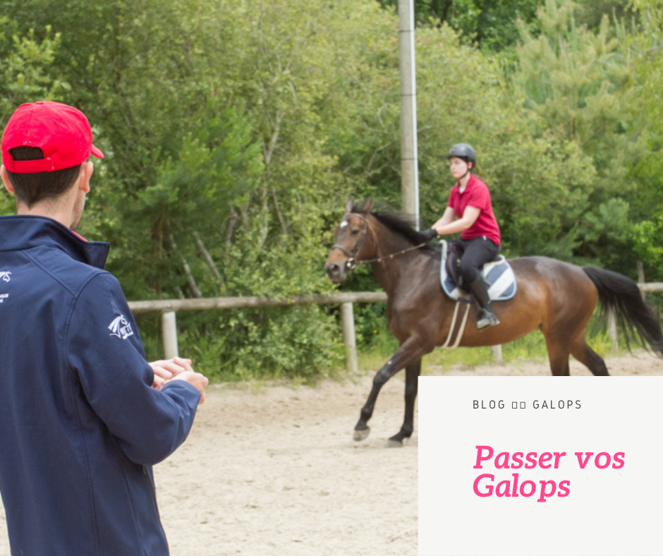 Comment préparer ses galops