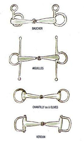 Présentation du Galop 4