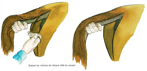 Présentation du Galop 6