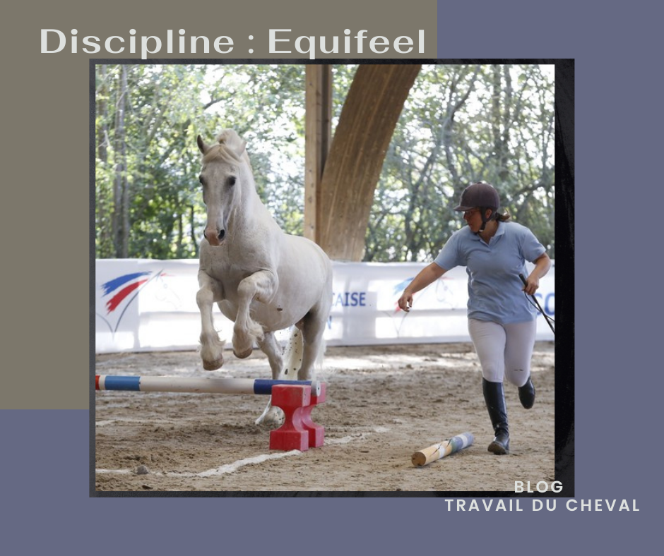 L'Equifeel : LA discipline à pied