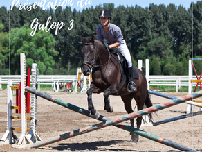 Galops | Blog Equitation Nord