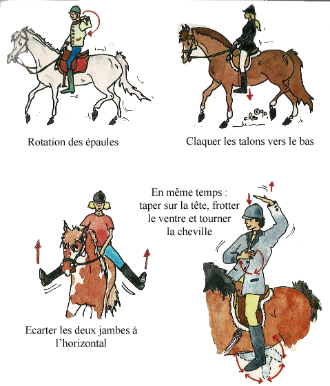 Préparation mentale et physique du cavalier