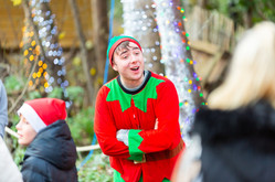 The Elf Express | Elf Express