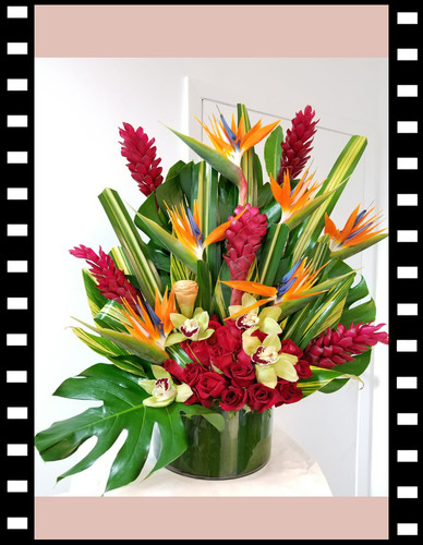Titi Arrangement | ambarflowers