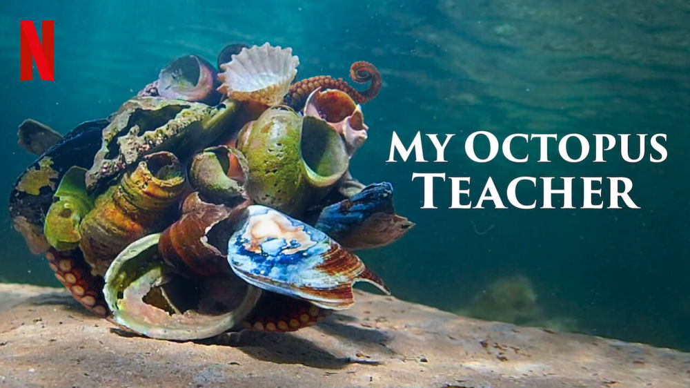 2021 OSCAR BEST DOCUMENTARY FEATURE: MY OCTOPUS TEACHER
