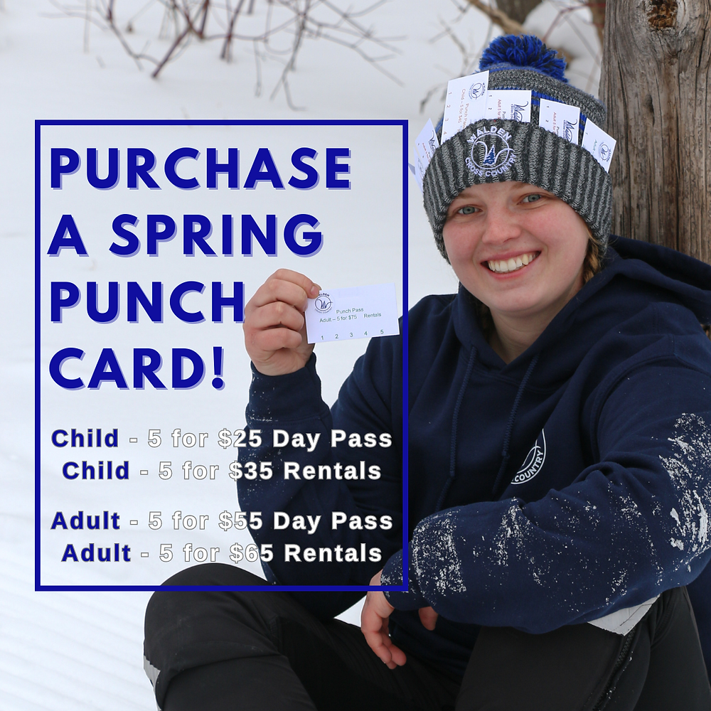 Spring Punch Cards