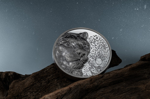SNOW LEOPARD Wild Mongolia 2Oz Black Proof Silver Coin 1000 Togrog ...