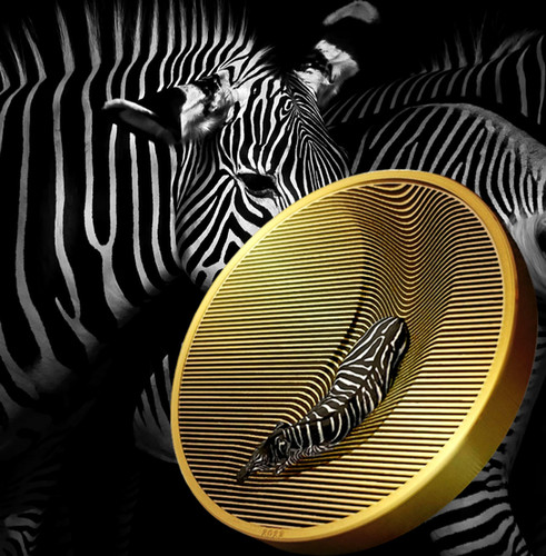 ZEBRA Camouflage of Nature Gilded 5 Oz Silver Coin 20$ Palau 2023 ...