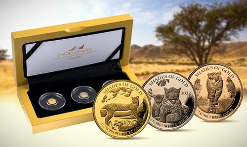 Shades of Gold - Leopard 3 x 0.5g 999.99 Gold coin Solomon 2022 | Gold ...