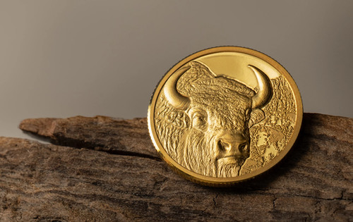 BISON Wild Mongolia 1/10 Oz Gold Coin 1000 Togrog Mongolia 2025 | Gold ...