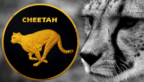 2021 1oz Australia Silver Zoo Cheetah Black Platinum 24k Gold Ring Coin ...