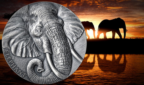 ELEPHANT Expressions of Wildlife 2 Oz Silver Coin 2000 Francs Cameroon ...