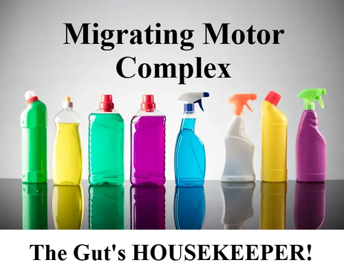 Migrating Motor Complex | Miracle Meadows