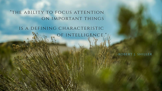 concentration focus intelligent