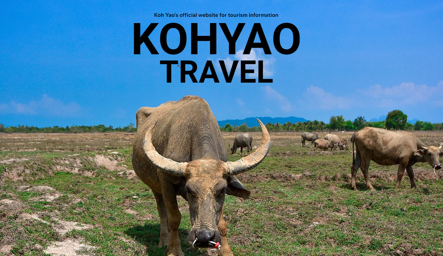 Explore Koh Yao with Expert Local Guides | Personalized Island Tours ...