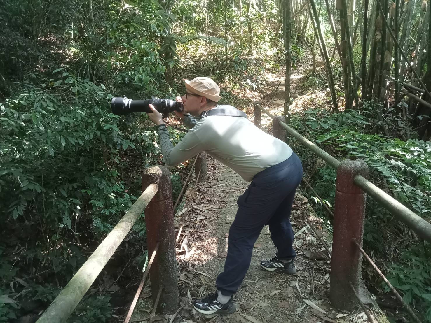 Birdwatching in Khao Sok: A Full Day with Morning & Afternoon ...