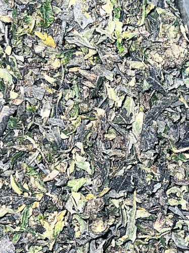 Quad Shake Mix & Match 2oz | Coastal Dartmouth