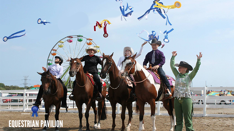 Home | michiganstatefairllc