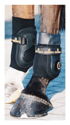 Kentucky Horsewear Tendon Grip Gel Sock Black | Horse Tack Uk