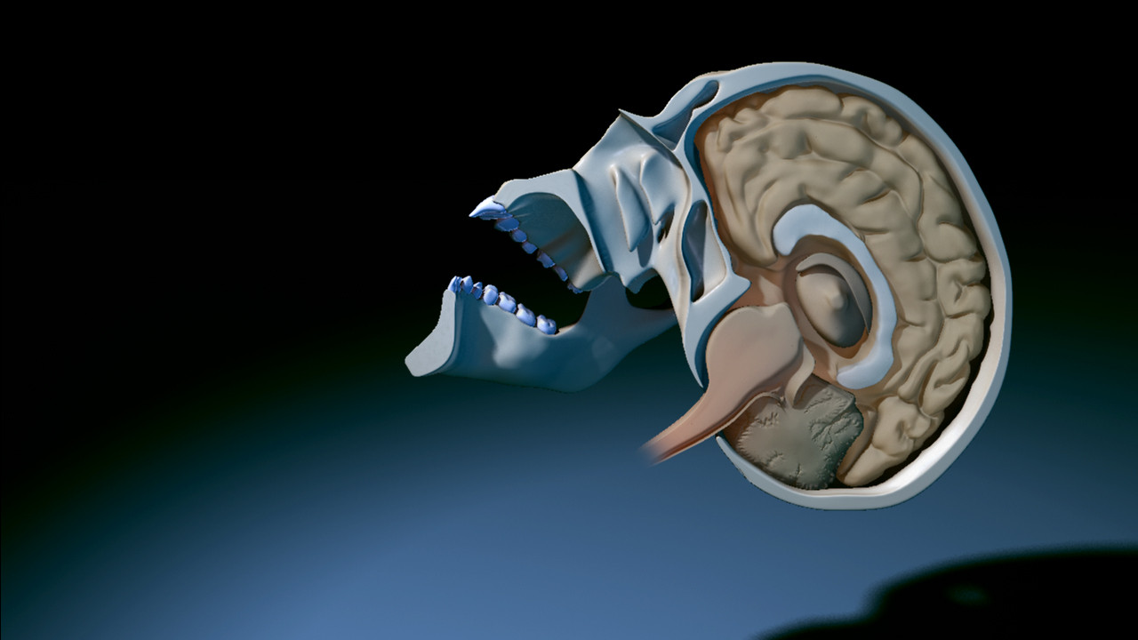 Concussions | PKVisualization | Brain injury