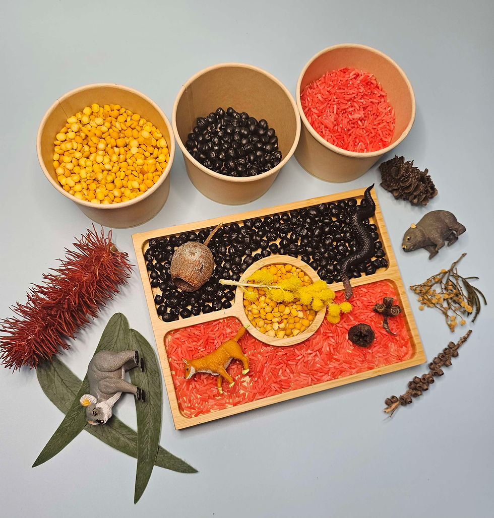 Aboriginal Sensory Kit | My Sensory Mind