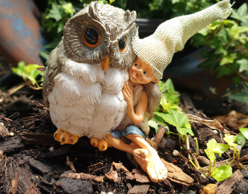 Pixie Ron with owl | mosquita