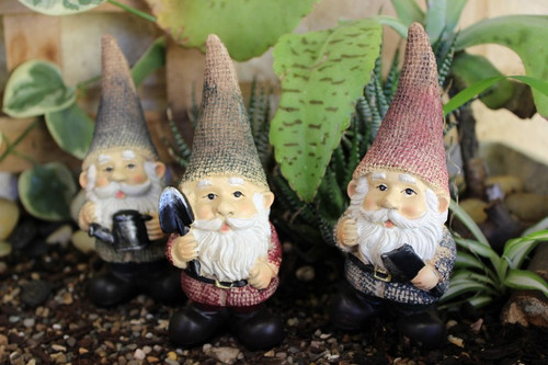 Jeremy the Gnome | mosquita