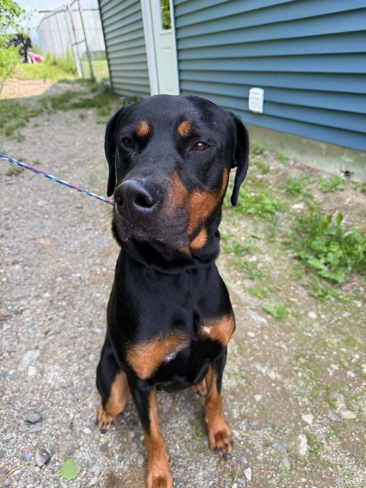 Meet Cash!