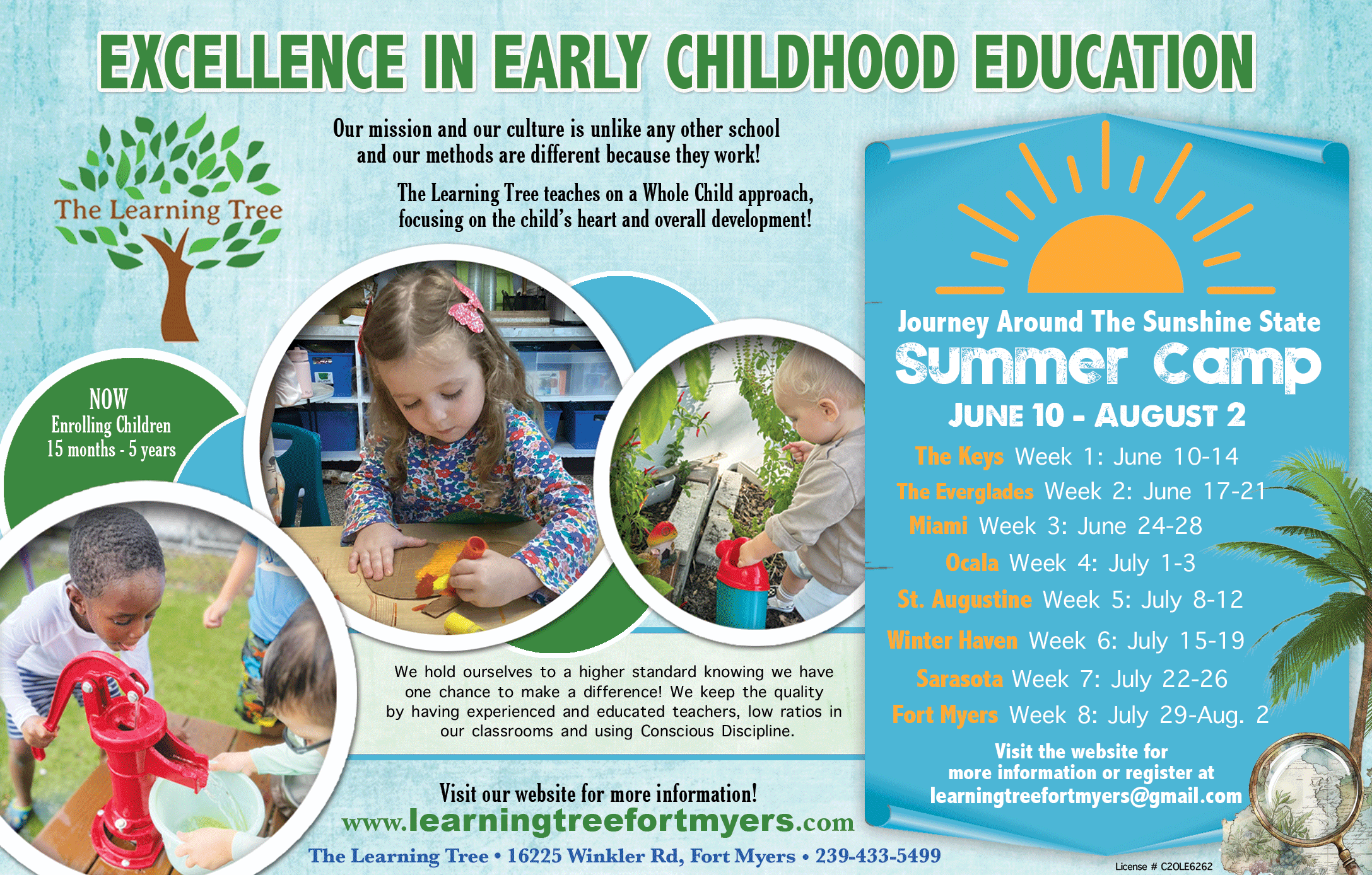 Programs | The Learning Tree