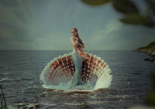 Print Venus | Lexie Mermaid