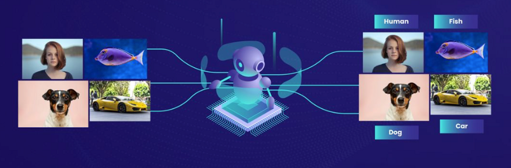 Image Classification; An Application of Machine Learning