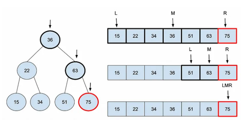 Mastering Binary Search in Python: A Comprehensive Guide