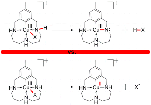 16. Elementary Reactions at Organocopper(III): A Gas-Phase and ...