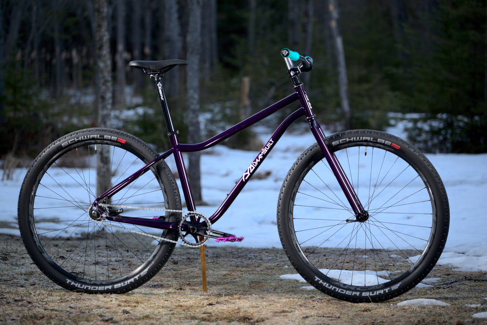 Single Speed Hardtail and Fork