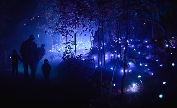 Top New Attractions for 2024 Gatlinburg & Pigeon Forge