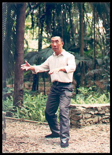 Yi Quan | ipcc