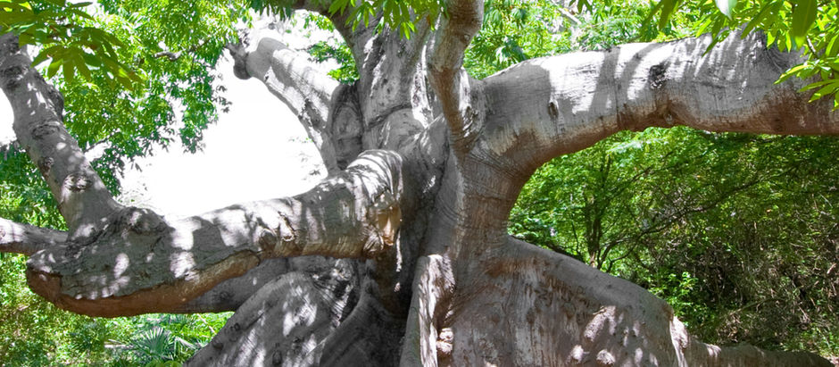 Arlington Literary Journal (ArLiJo)