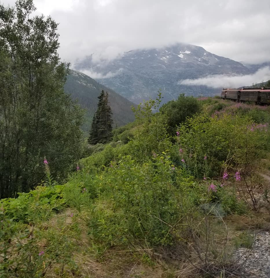 White Pass Train: Climb the Mountain to Canada!