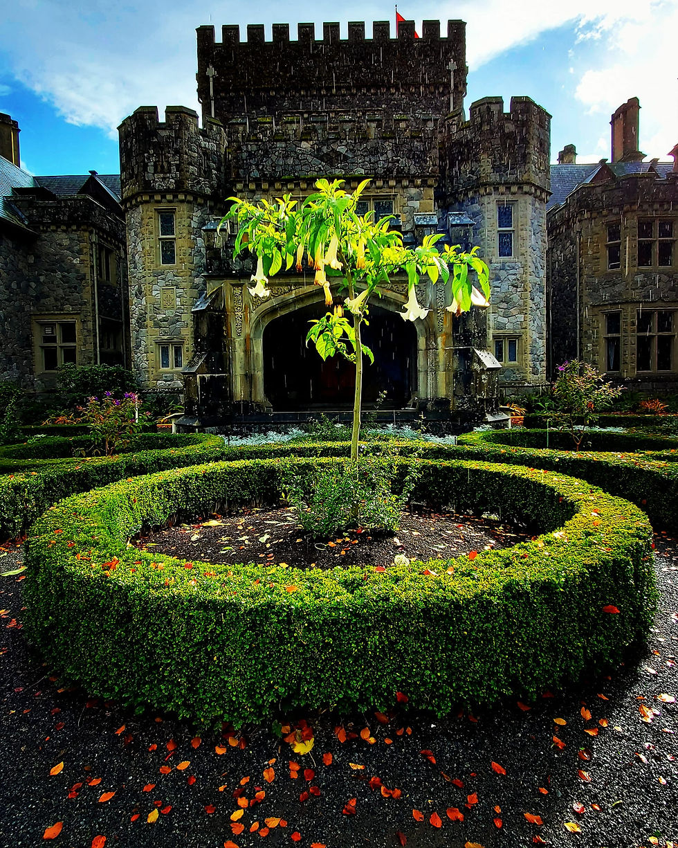 Visiting Victoria Canada? These are the best things to do!