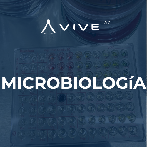 CULTIVO DE EXUDADO OTICO CON ANTIBIOGRAMA | VIVE LAB